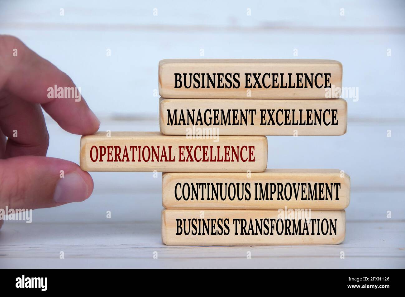 Business, management and operational excellence and continuous ...