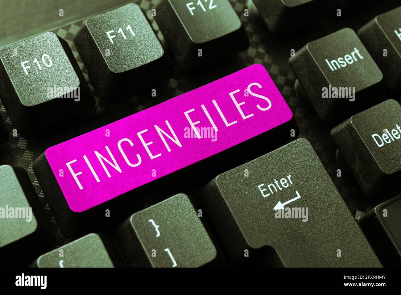 Text caption presenting Fincen Files, Business overview Transactions in ...