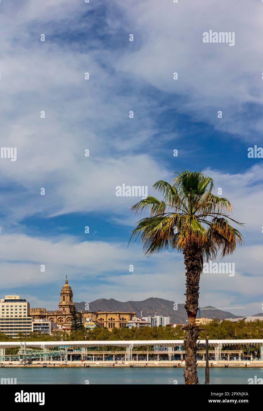 Palm tree visible in hi-res stock photography and images - Alamy