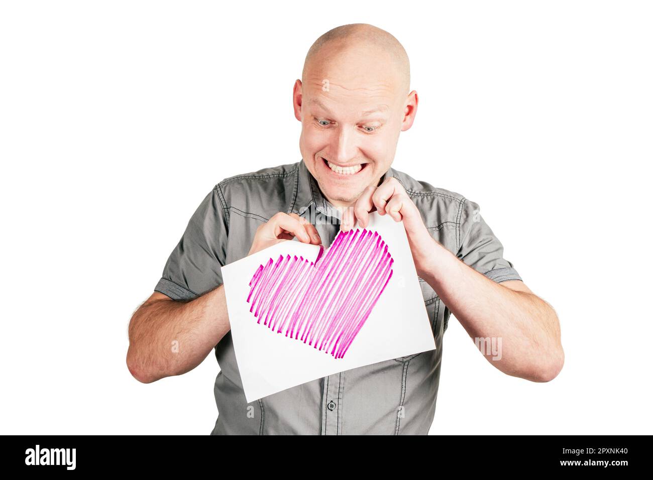 Smiling handsome bald middle-aged man in gray shirt tear pink heart ...