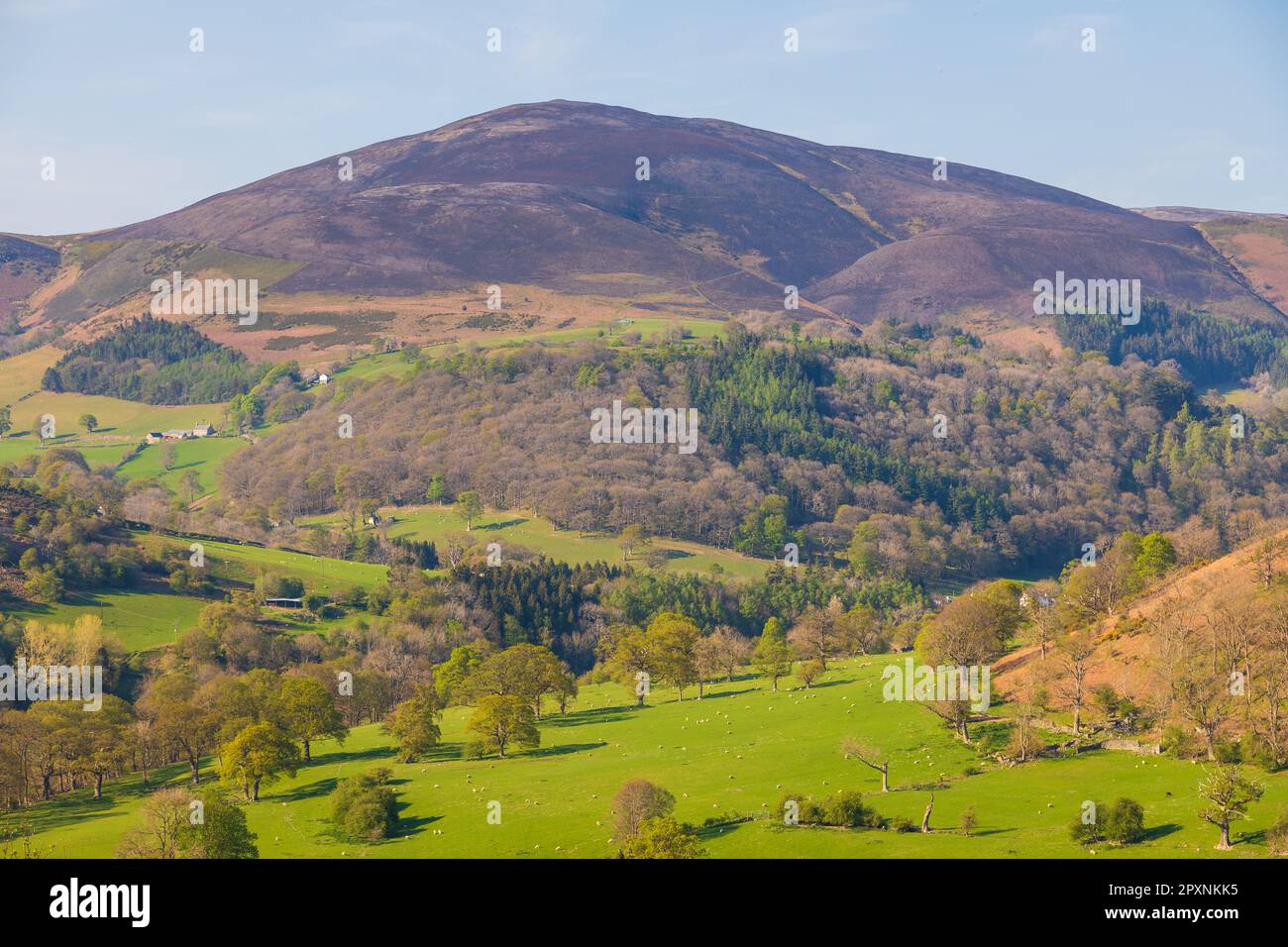 View of the green hills in the Llangollen town. Sunny spring day ...