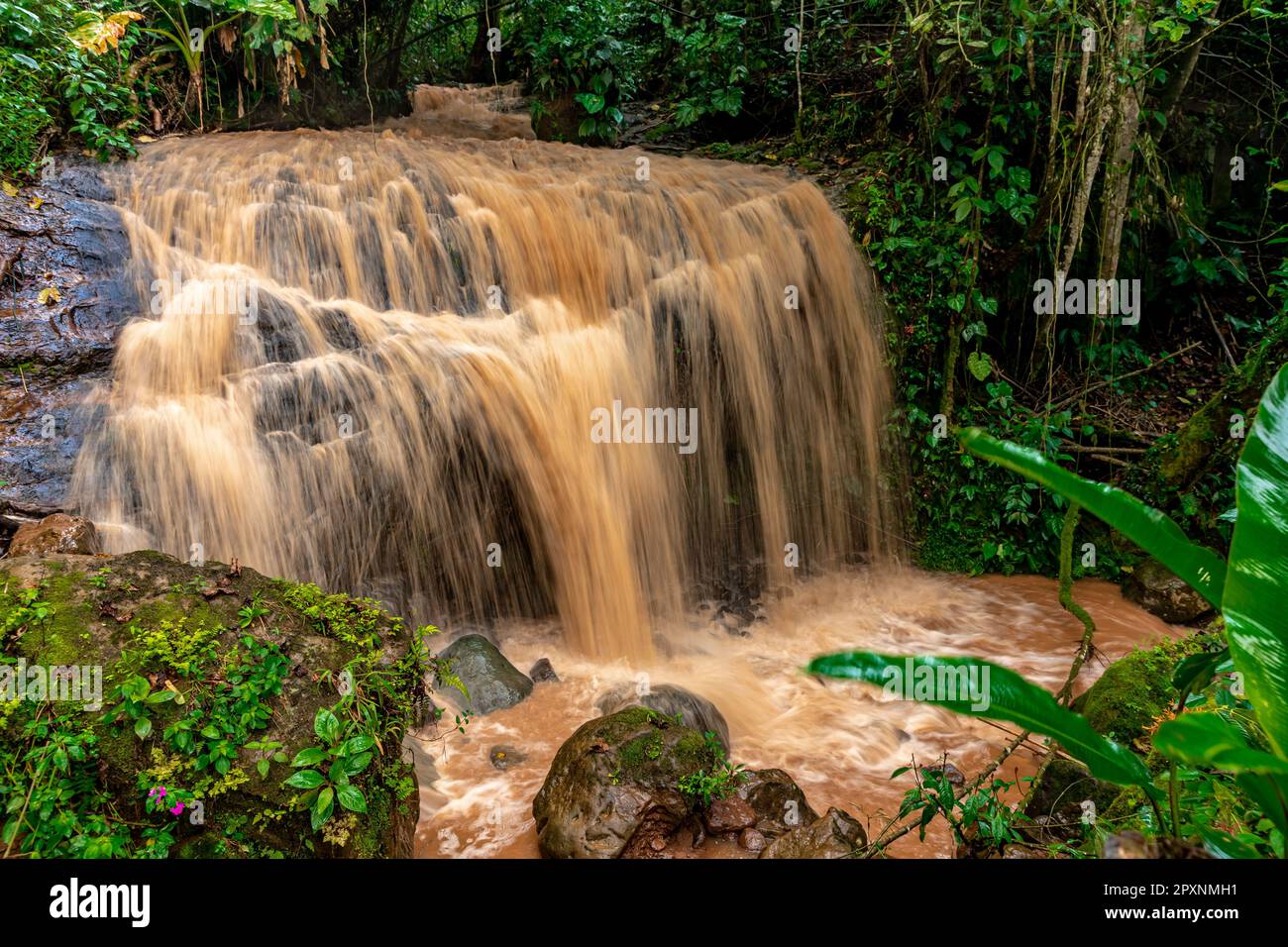 waterfall with rain water in the rain forest Stock Photo - Alamy