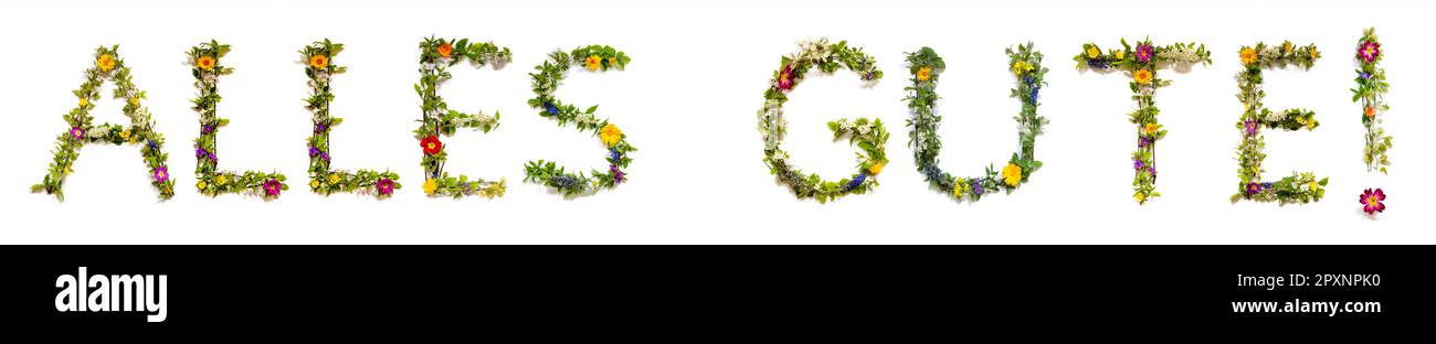 Blooming Flower Letters Building German Word Alles Gute Means Best ...