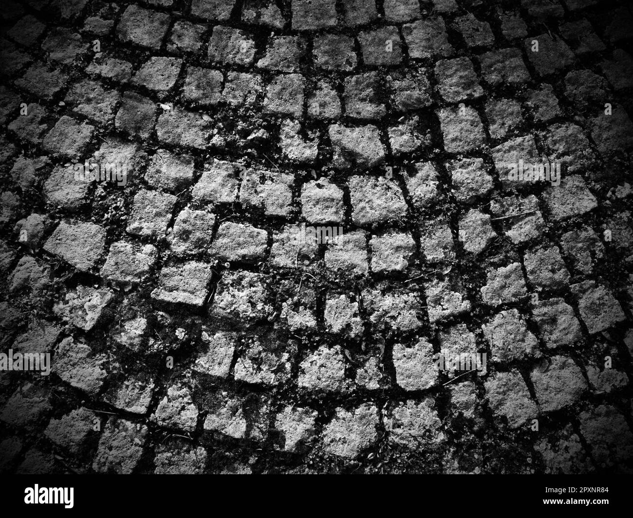 Neatly laid out old paving stones. Pavement on the square of the old ...