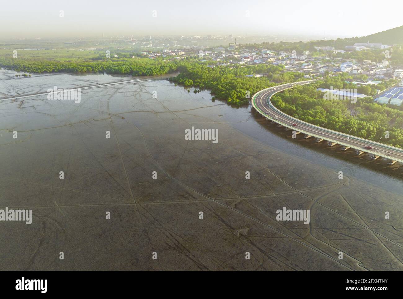 Aerial view of mudflat, mangrove forest, and sustainable city and green ...