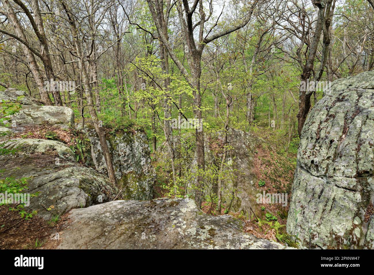 Standing at the edge of the top of the boulders looking down at the ...