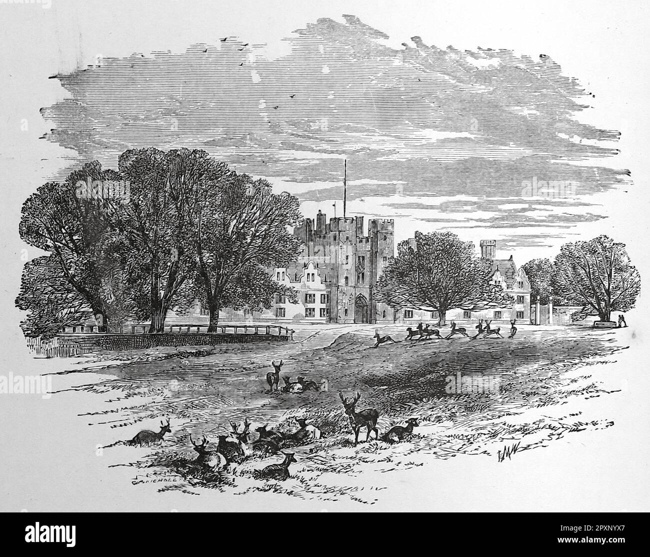 Knole, Front View. Grassland with deer roaming freely, with trees and ...