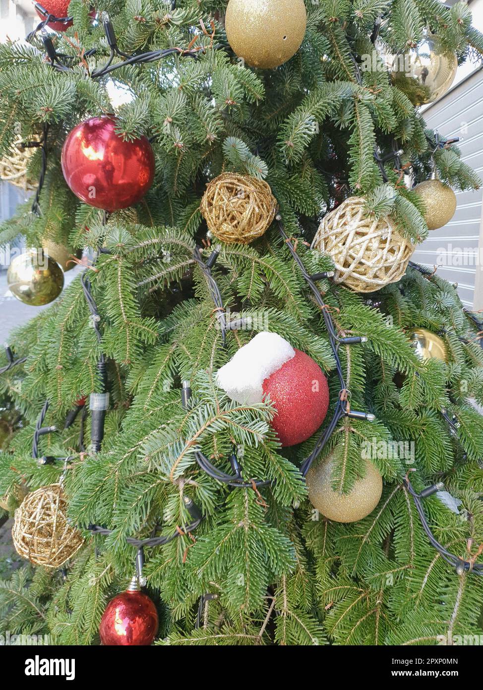 Christmas tree in the street in the city centre Stock Photo - Alamy