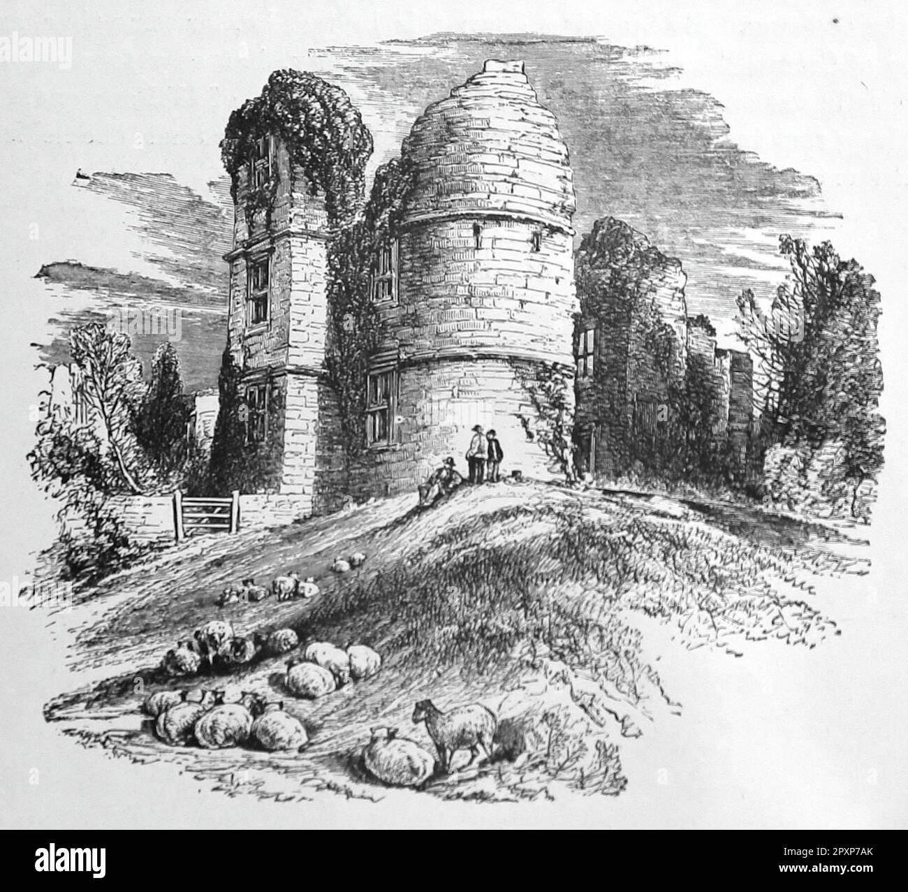 Wilton Castle. The castle ruins on a mound beside the river Wye, with ...