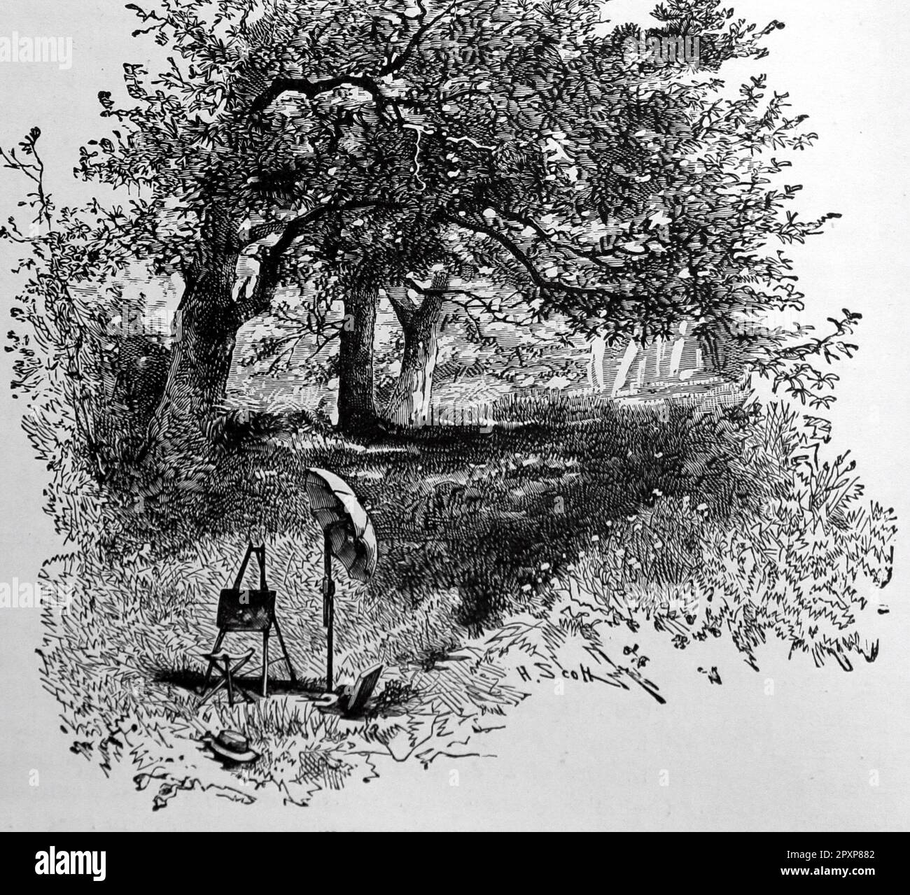 In Hainault Forest. An artist’s easel and sun umbrella, standing on a ...