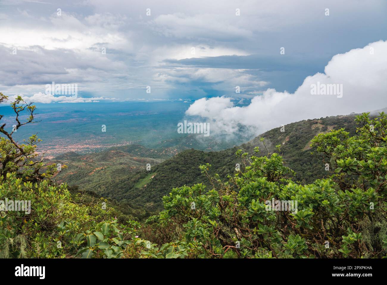 Mt longido hi-res stock photography and images - Alamy