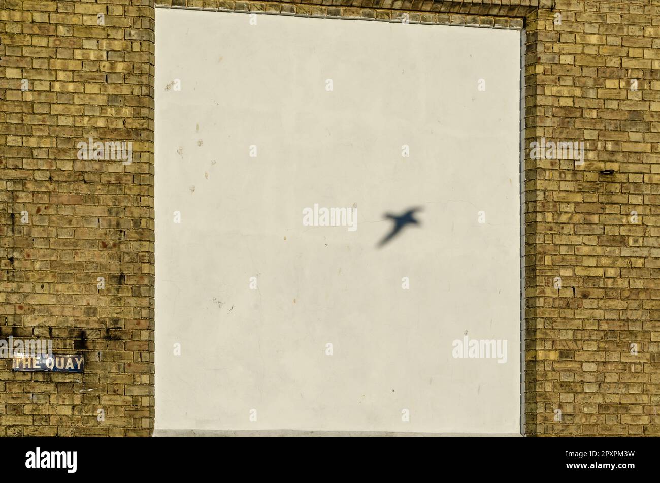 Shadow of a flying bird on a brick wall Stock Photo - Alamy