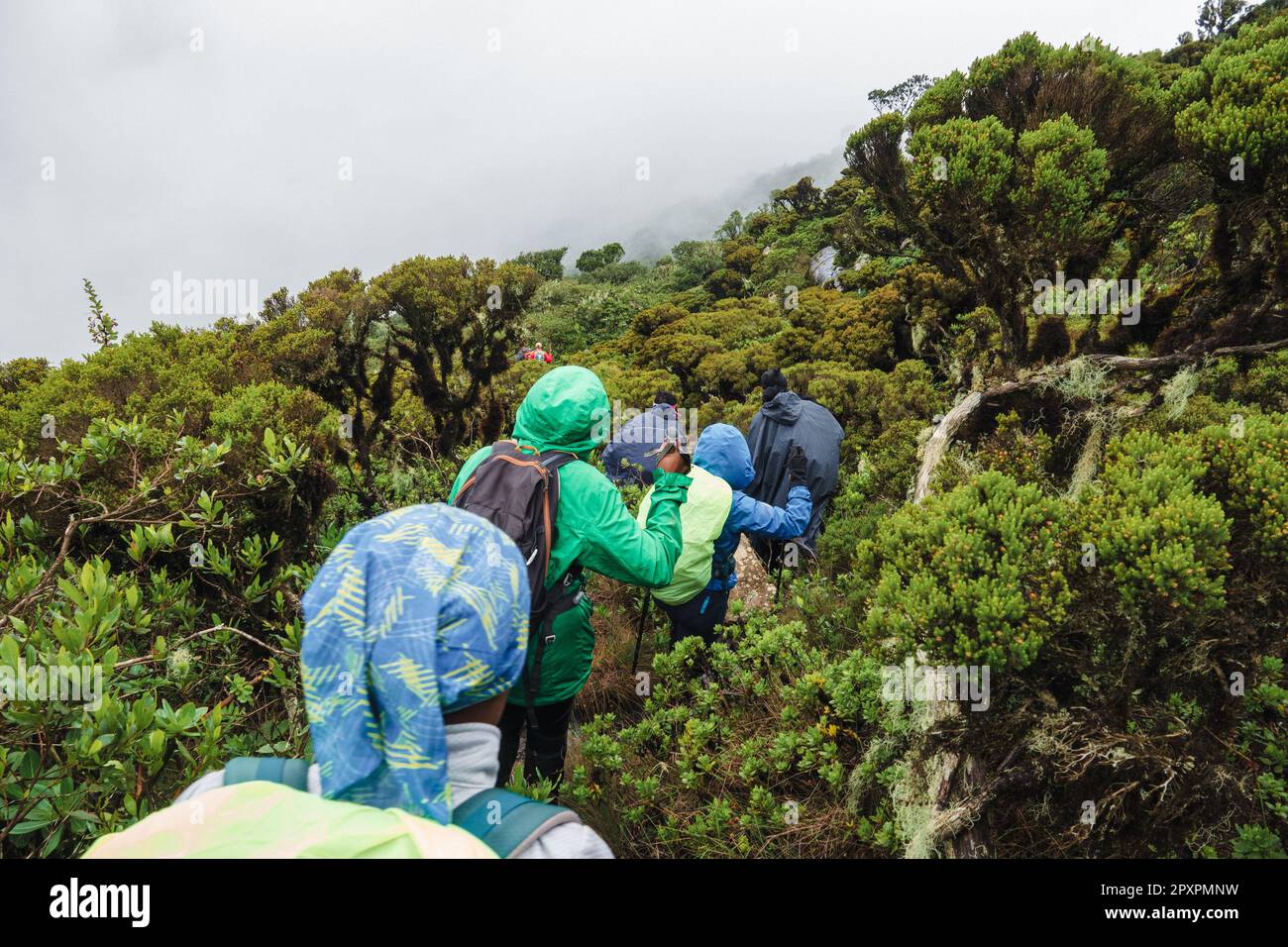 Rear view of hikers at Mount Longido an a rainy day in rural Tanzania ...