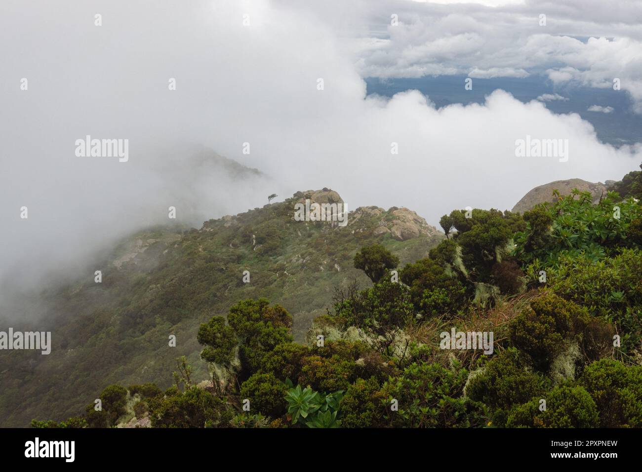Mt longido hi-res stock photography and images - Alamy