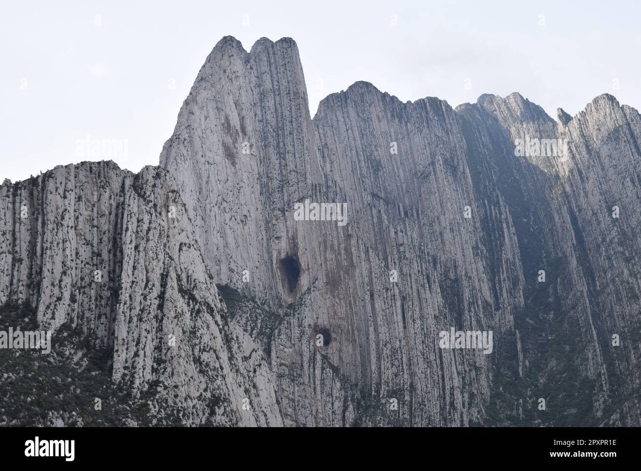 Parque ecologico la huasteca hi-res stock photography and images - Alamy