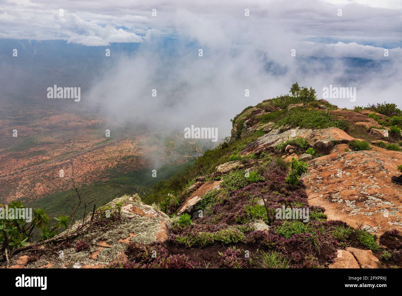 Scenic view of Mount Longido in Tanzania on a foggy day Stock Photo - Alamy