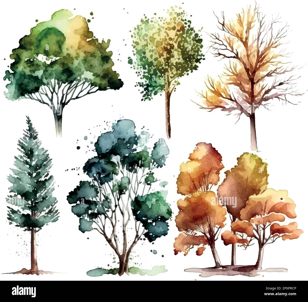 Watercolor tree hand draw vector nature painting Stock Vector Image ...