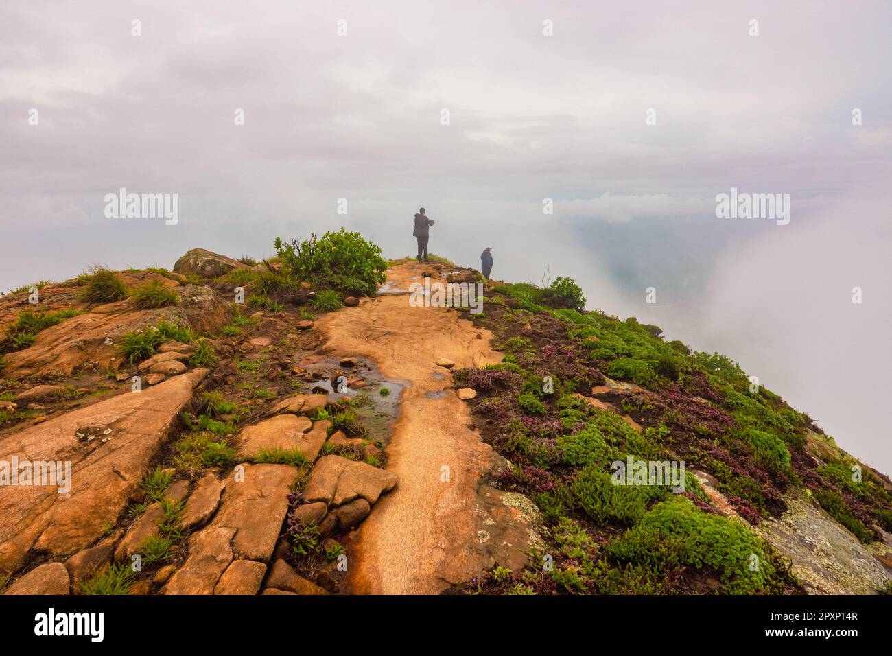 Rear view of hikers at Mount Longido an a rainy day in rural Tanzania ...
