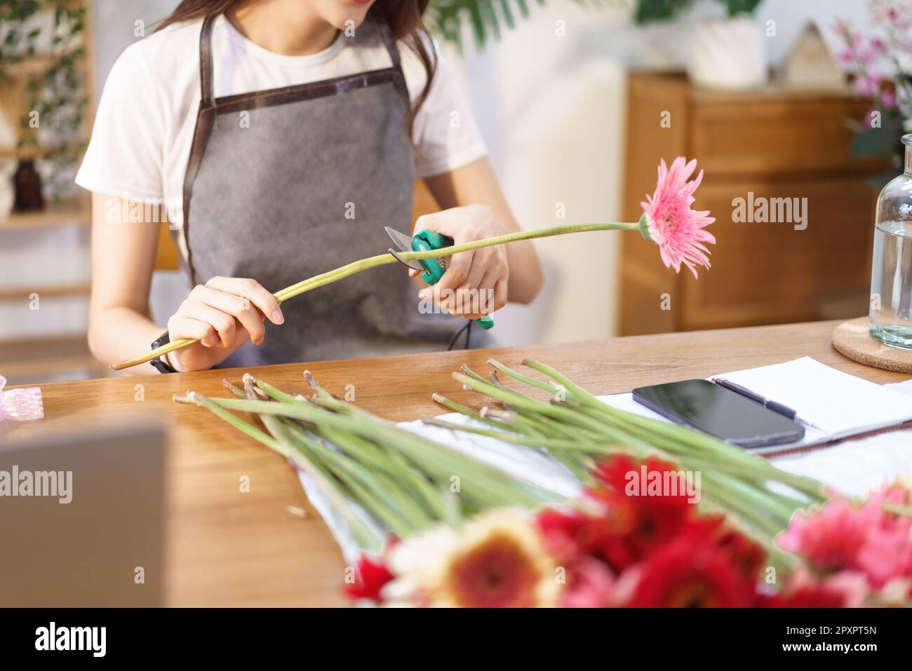 Flower shop concept, Female florist cutting gerbera with scissor to ...