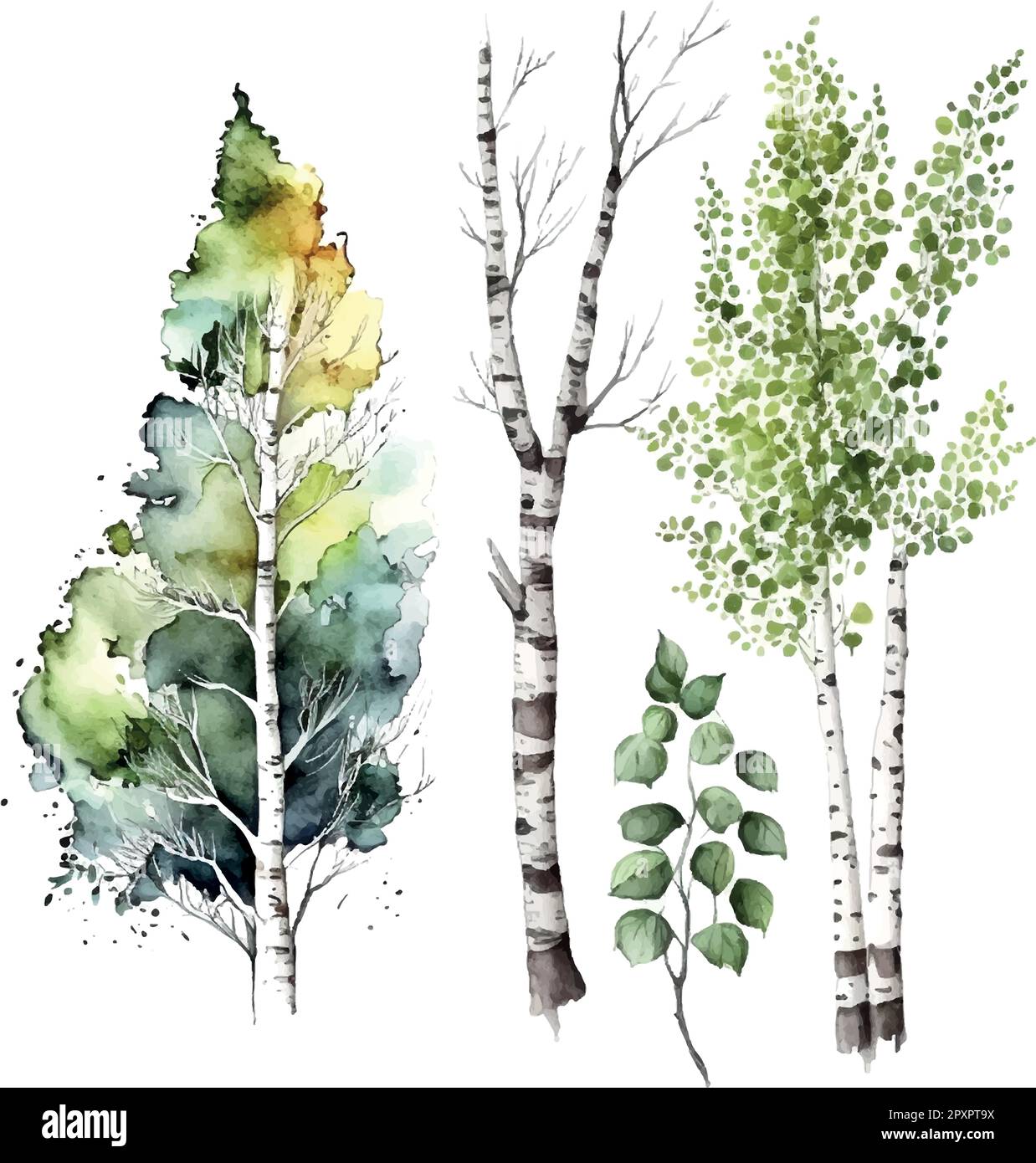 Watercolor birch trees Russia tree Design element for wallpapers, web ...