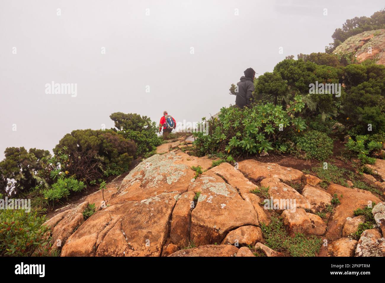Rear view of hikers at Mount Longido an a rainy day in rural Tanzania ...