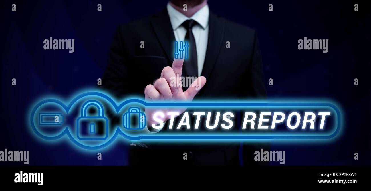 Conceptual display Status Report, Business showcase Update Summary of ...