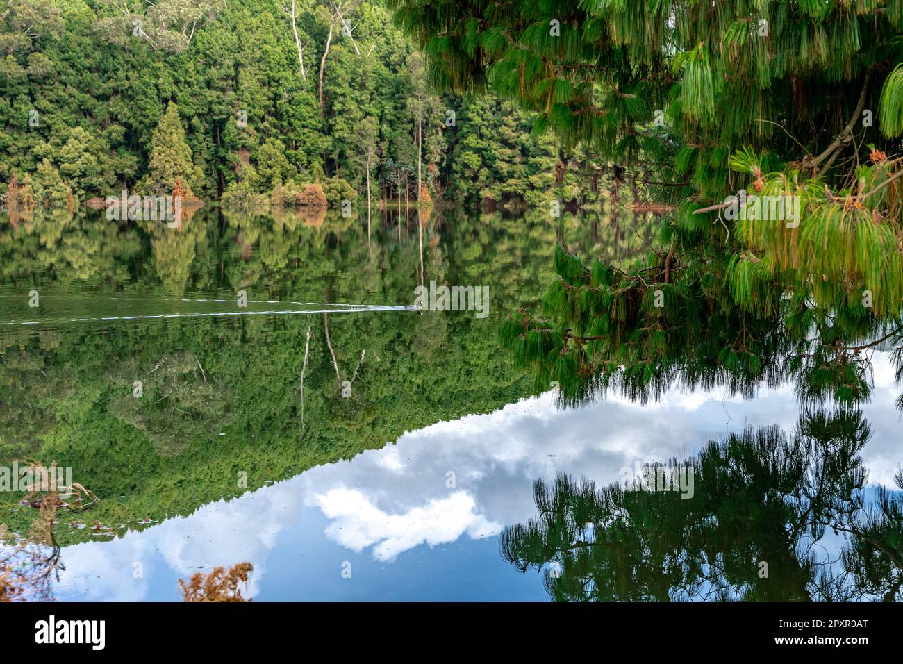 mountain lake in beautiful Colombian nature Stock Photo - Alamy