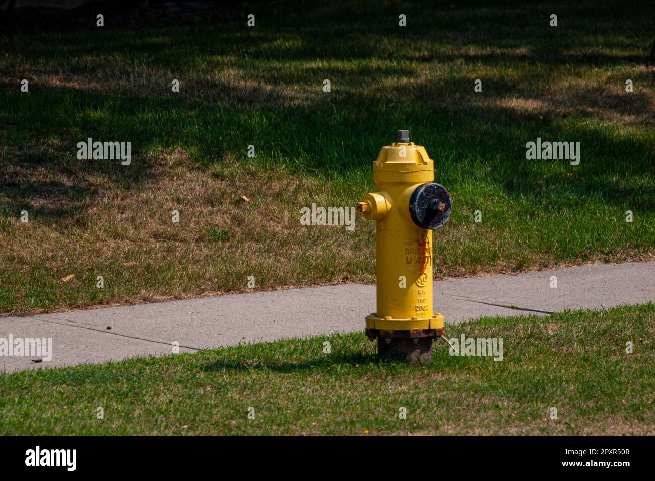 Toronto, Canada, August 2007 - Yellow fire hydrant on grass by a ...