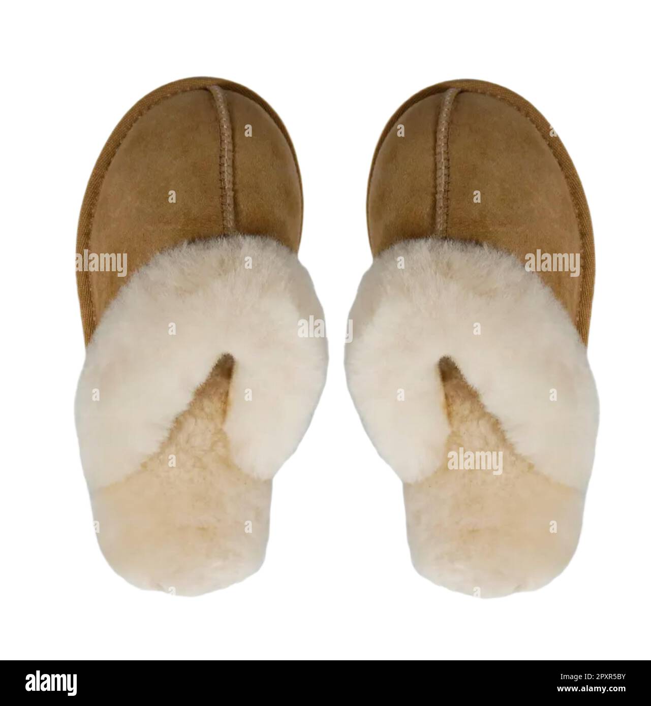 Slipperette hi-res stock photography and images - Alamy