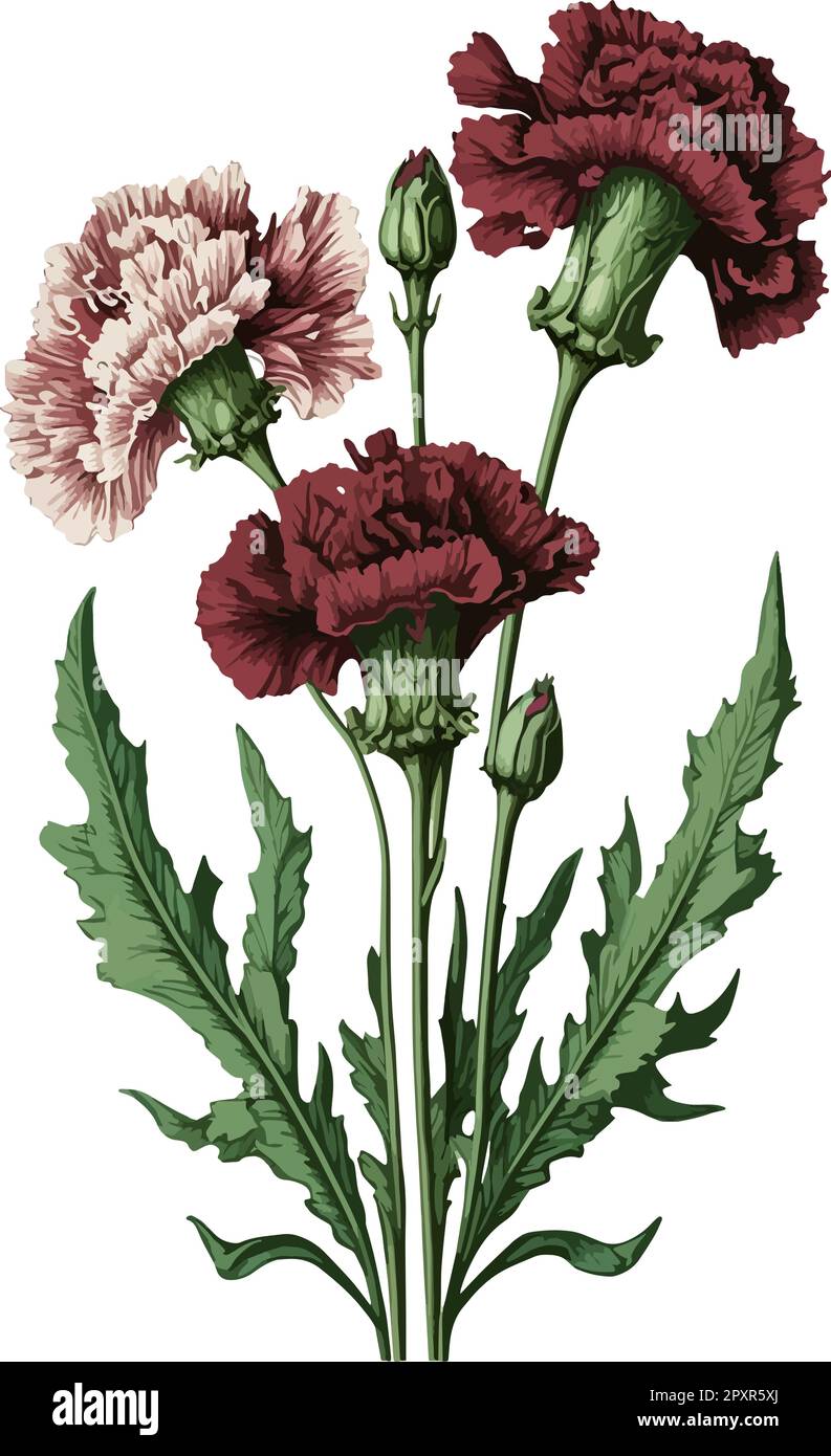 2d vector illustration Stock Vector Images - Alamy