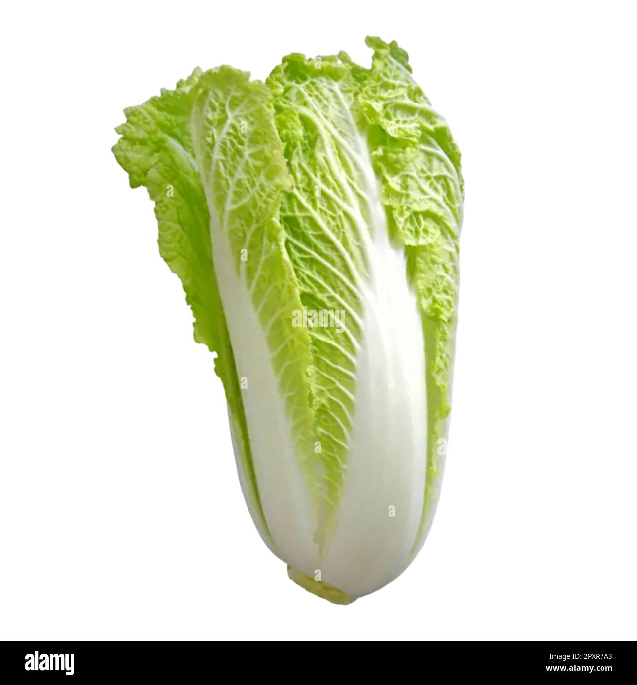 Brassica recipe Stock Vector Images - Alamy