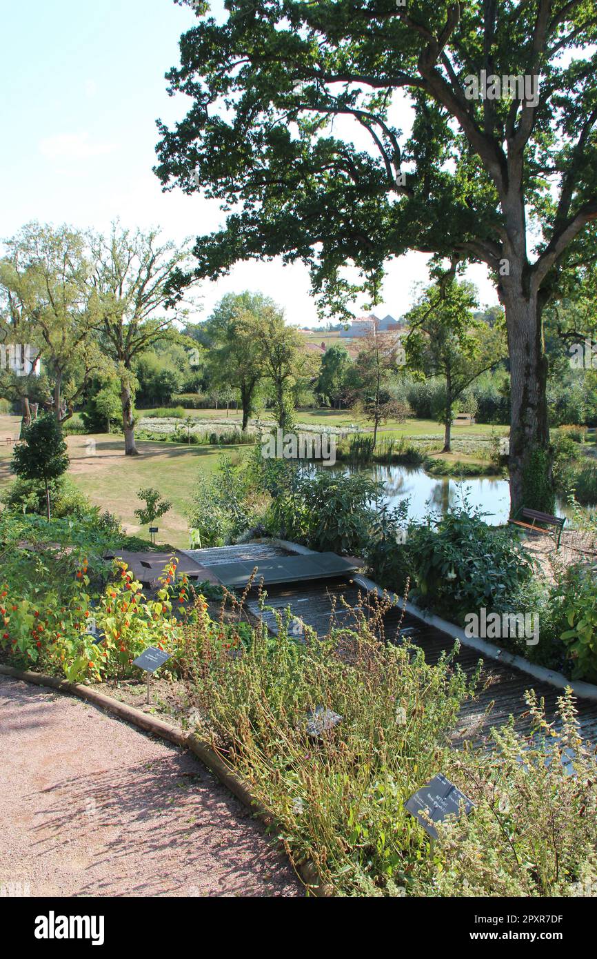 public garden in chemillé (france Stock Photo - Alamy