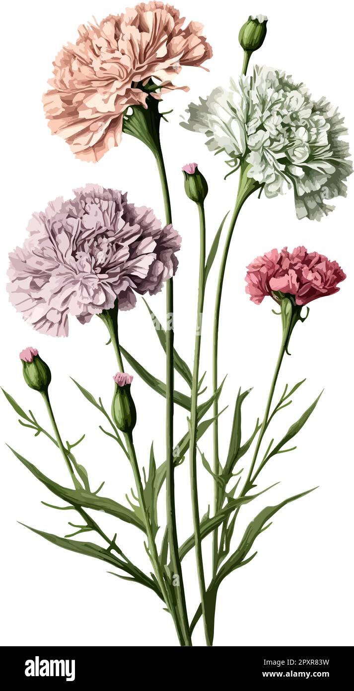 2d vector illustration Stock Vector Images - Alamy