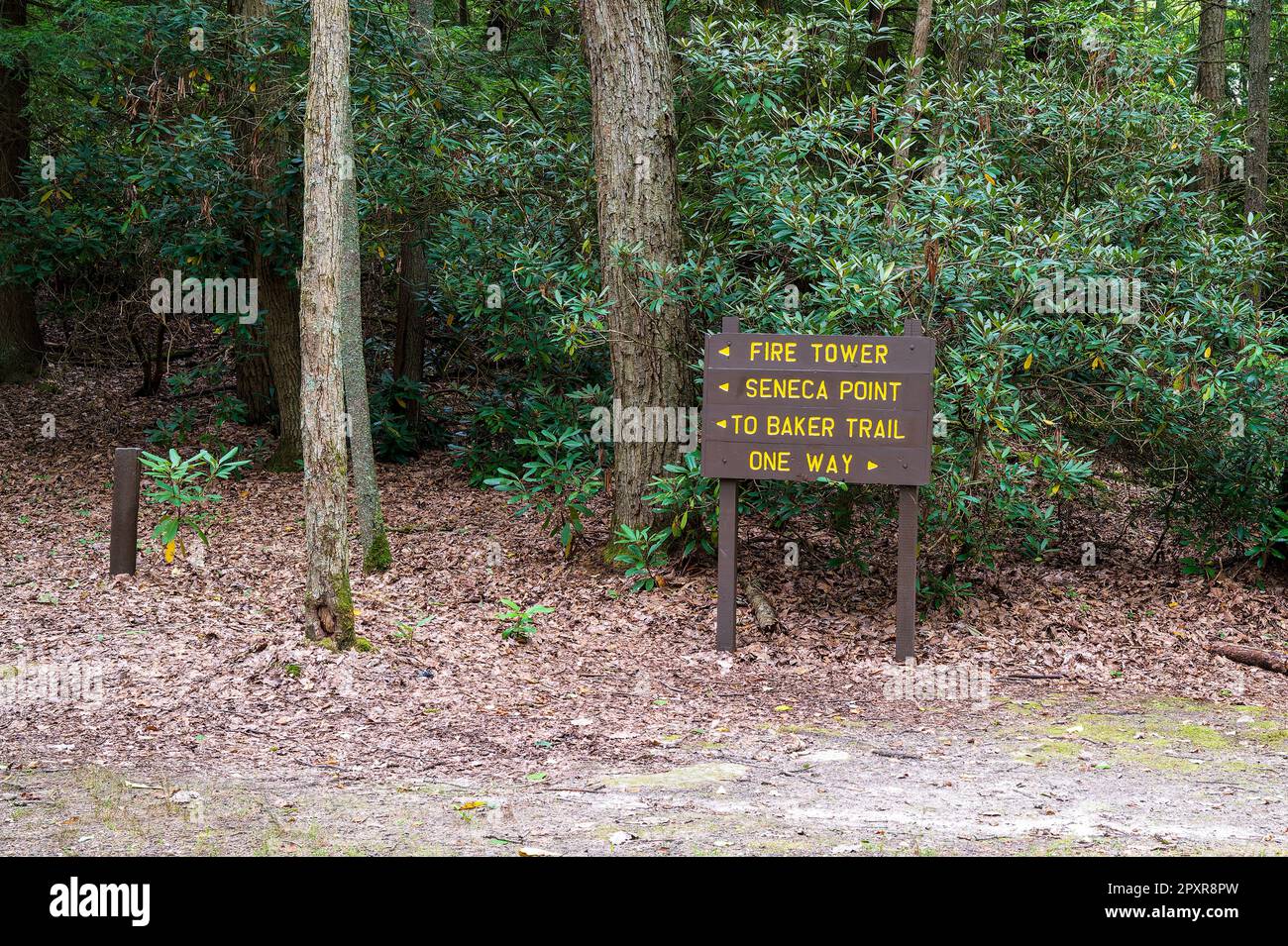 Cooksburg PA - September 16, 2022: Signage for Fire Tower, Seneca Point ...