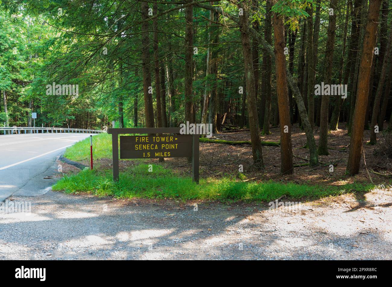 Cook forest state park cooksburg hi-res stock photography and images ...