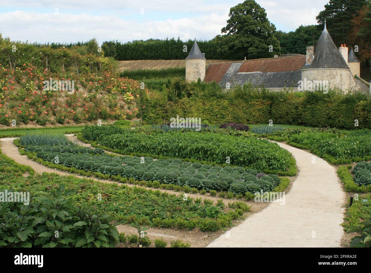 medieval castle and french-style vegetable garden in touraine (france ...