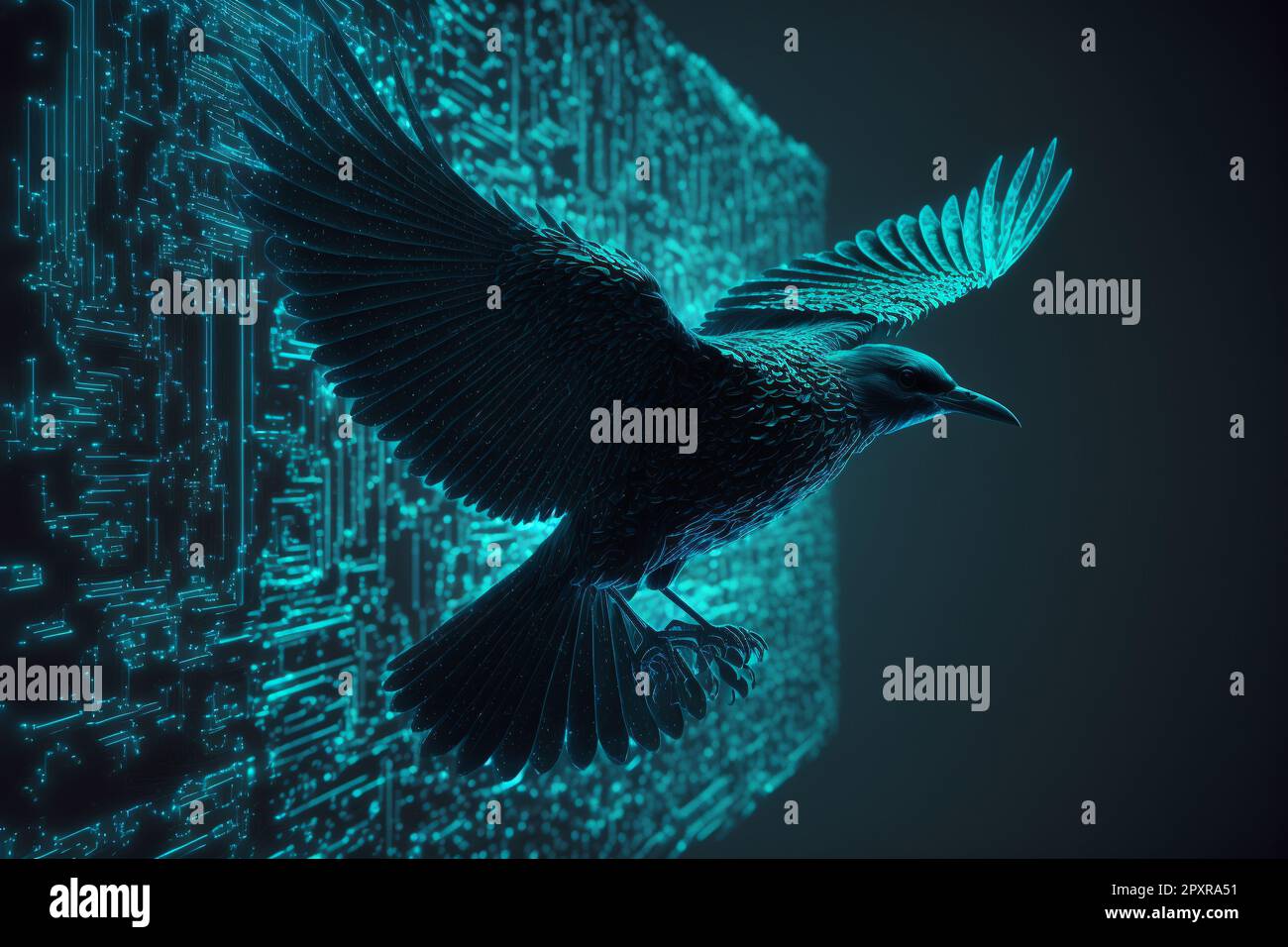Bird communication system hi-res stock photography and images - Alamy