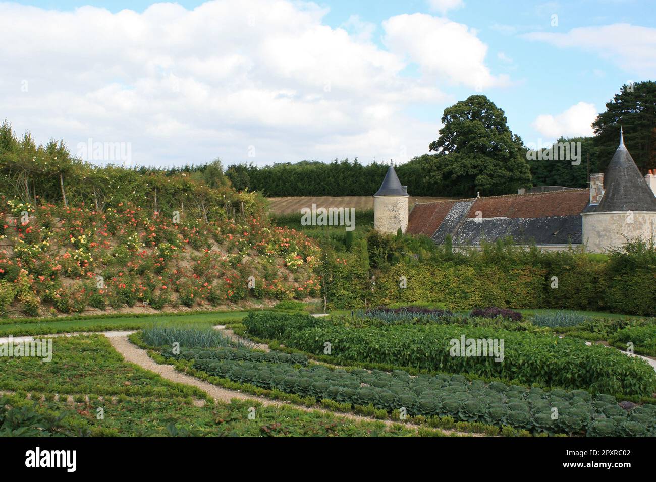 medieval castle and french-style vegetable garden in touraine (france ...