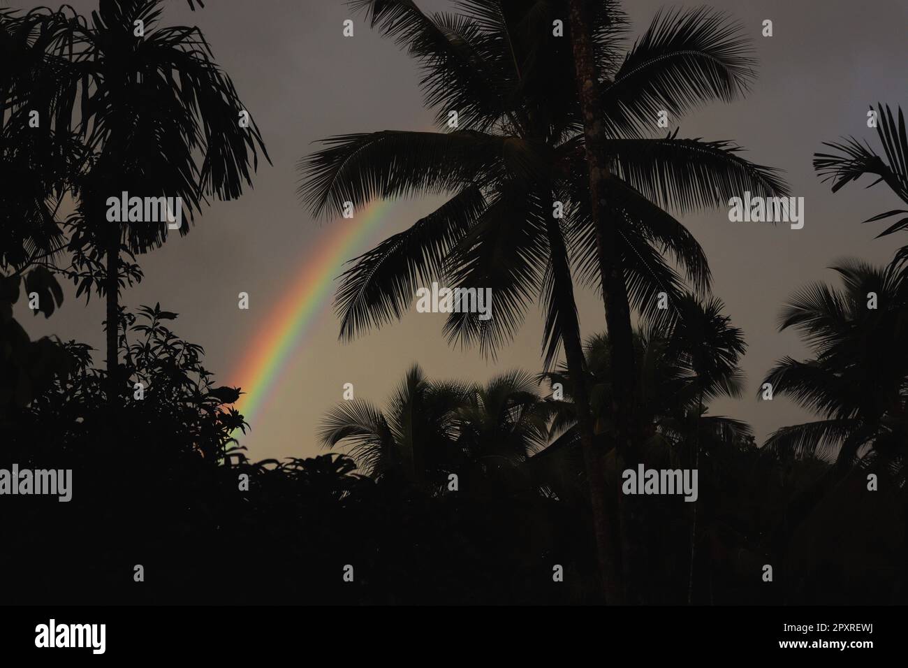 A beautiful rainbow in a Dark Evening Stock Photo - Alamy