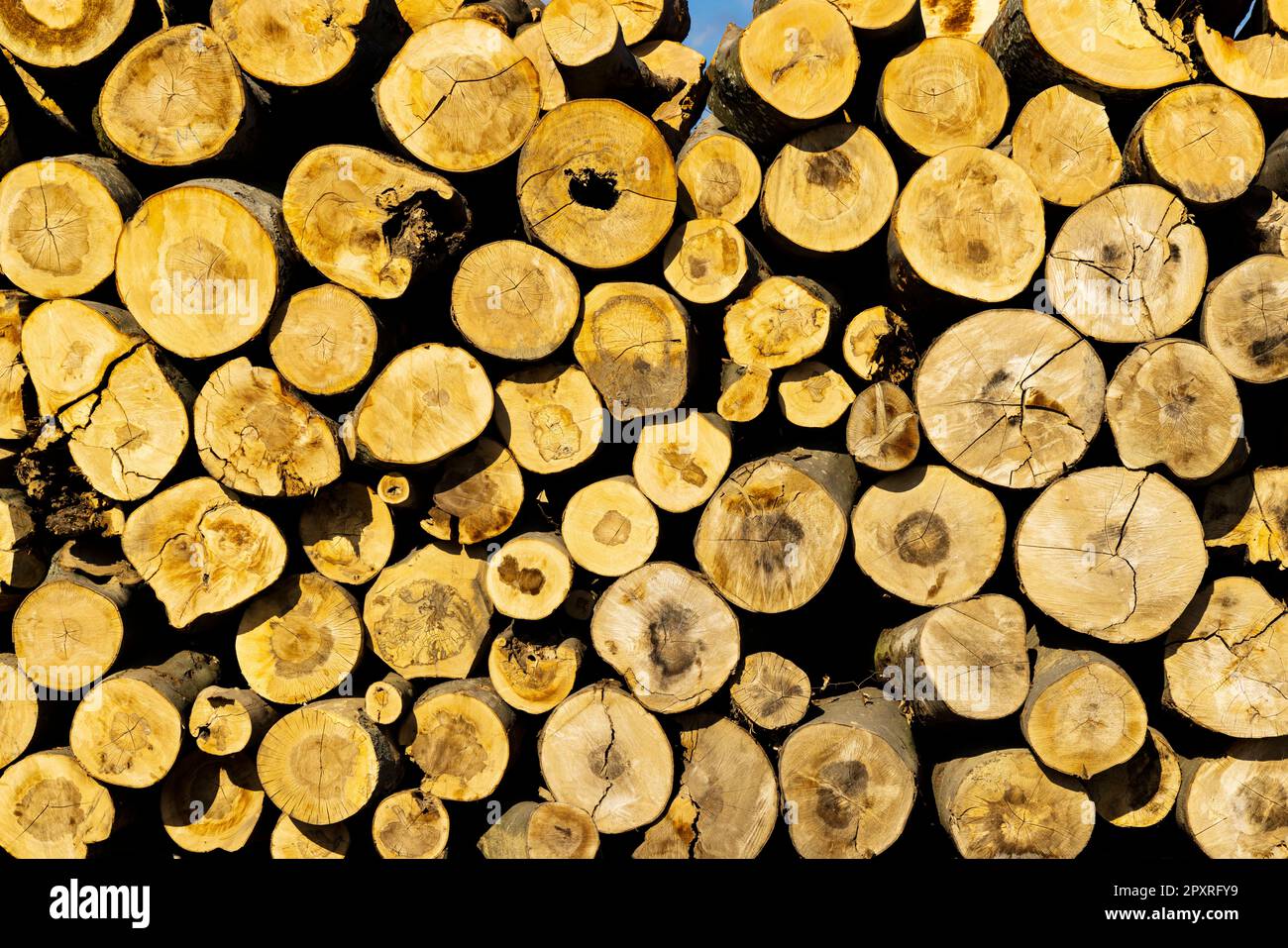 wooden logs on the open air Stock Photo - Alamy