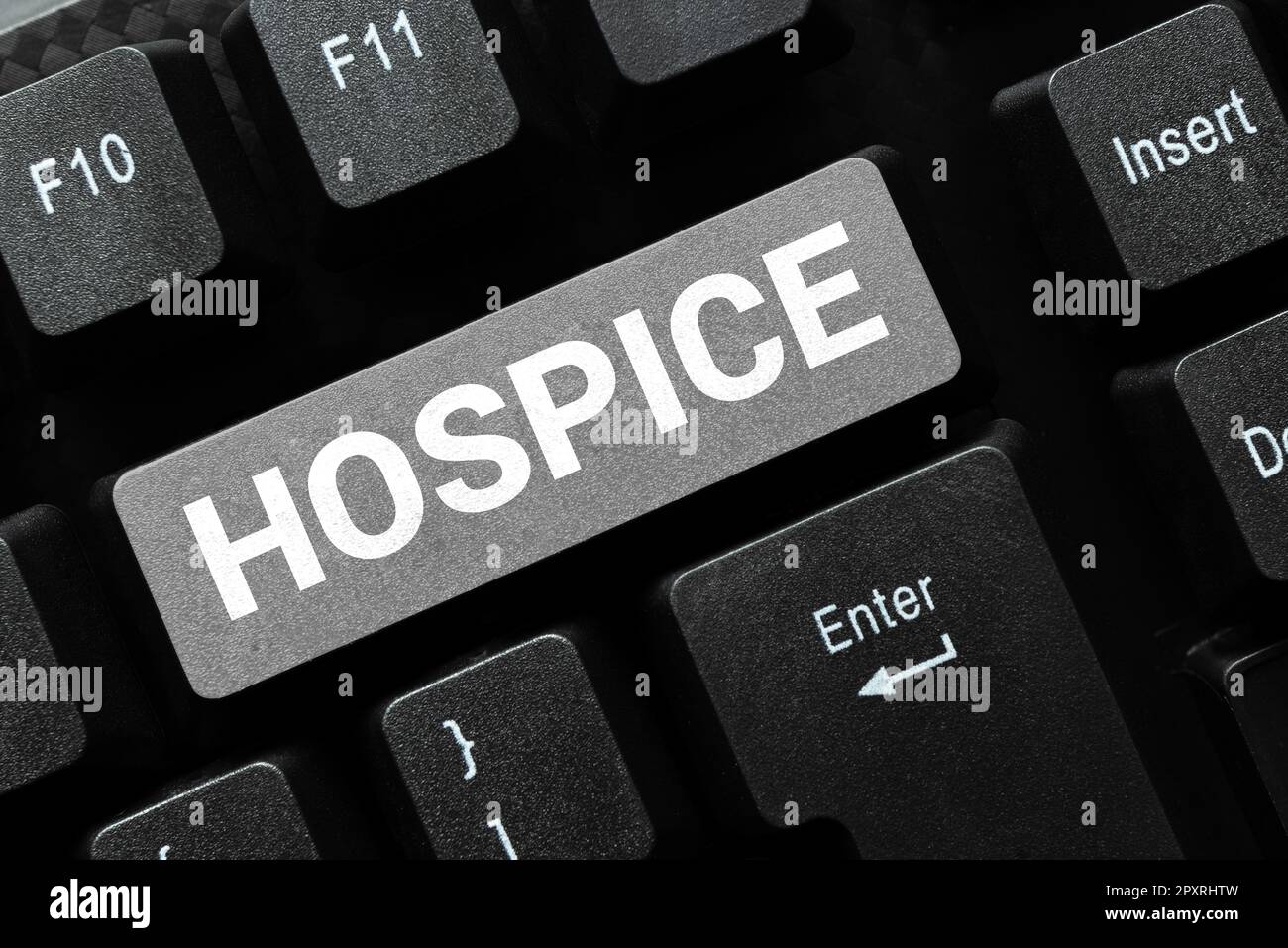 Text caption presenting Hospice, Word Written on focuses on the palliation of a terminally ill ...