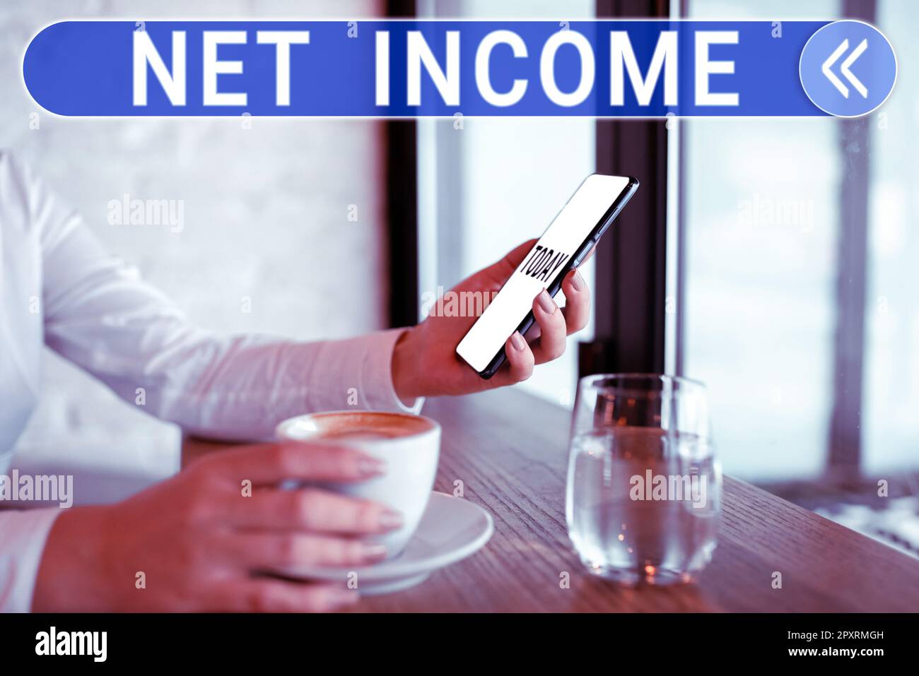 Text caption presenting Net Income, Business idea the gross income ...