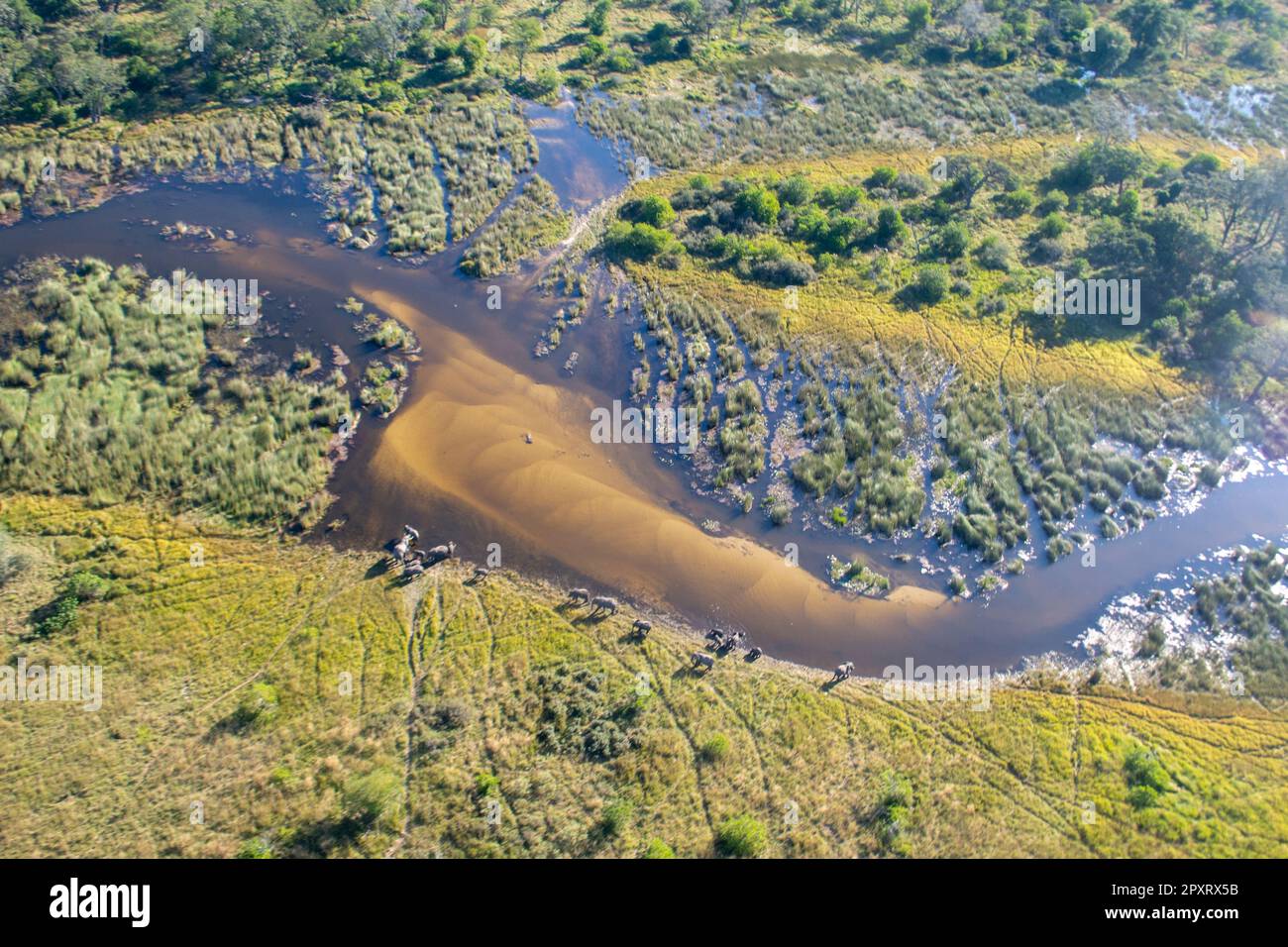 Aerial view at Moremi national park in Botswana, Africa. Travel and ...