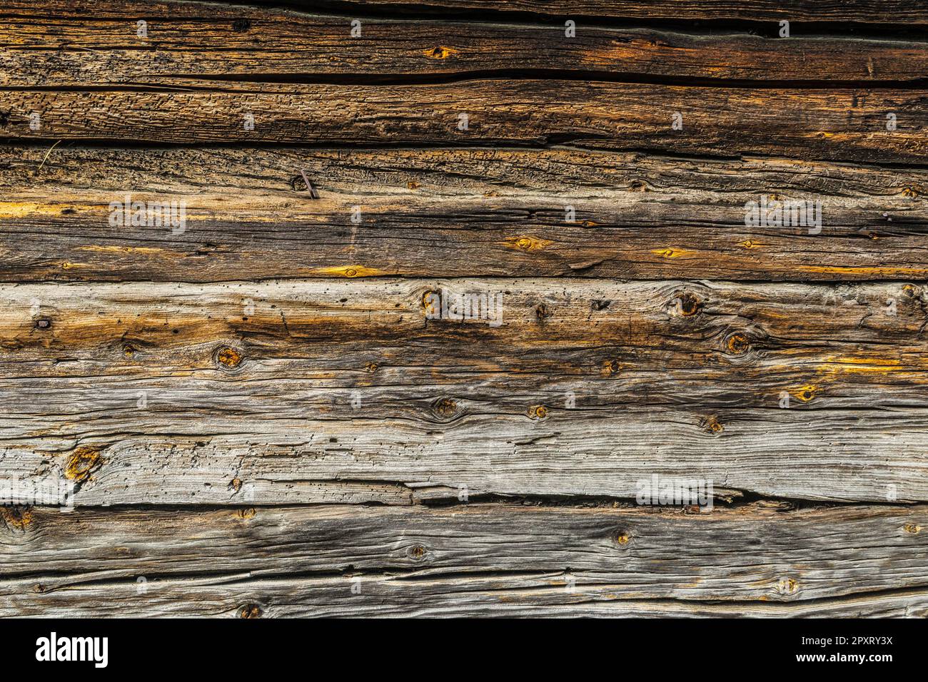 Old, weathered and worn wood texture plank with cracks and bursts Stock ...