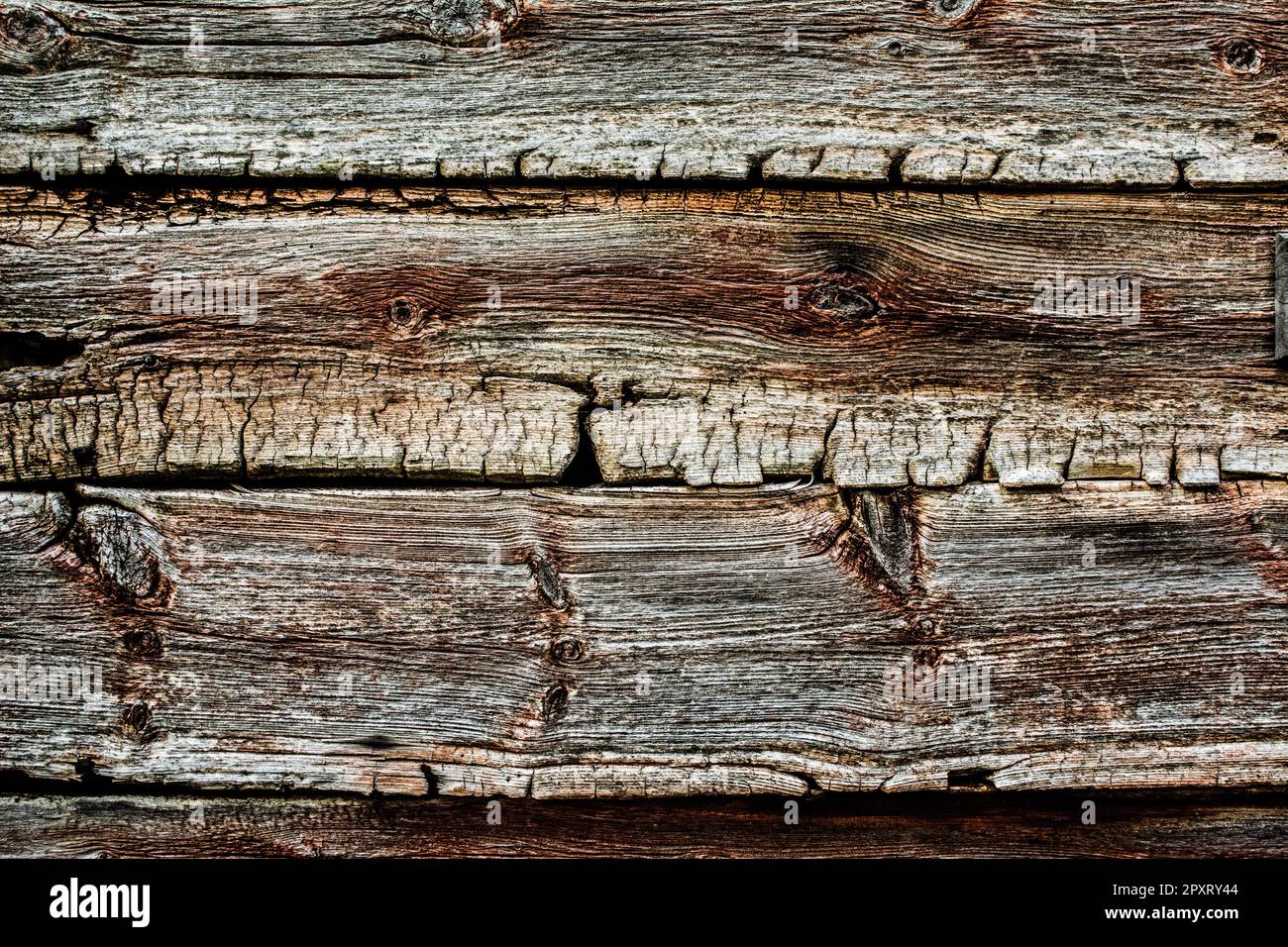 Old, weathered and worn wood texture plank with cracks and bursts Stock ...