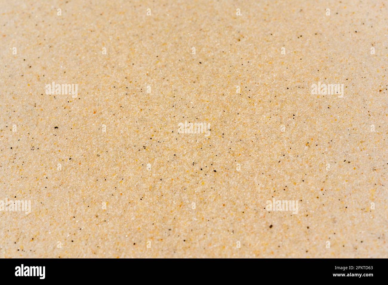 Macro close up sand texture. Background from fine sand. High quality ...