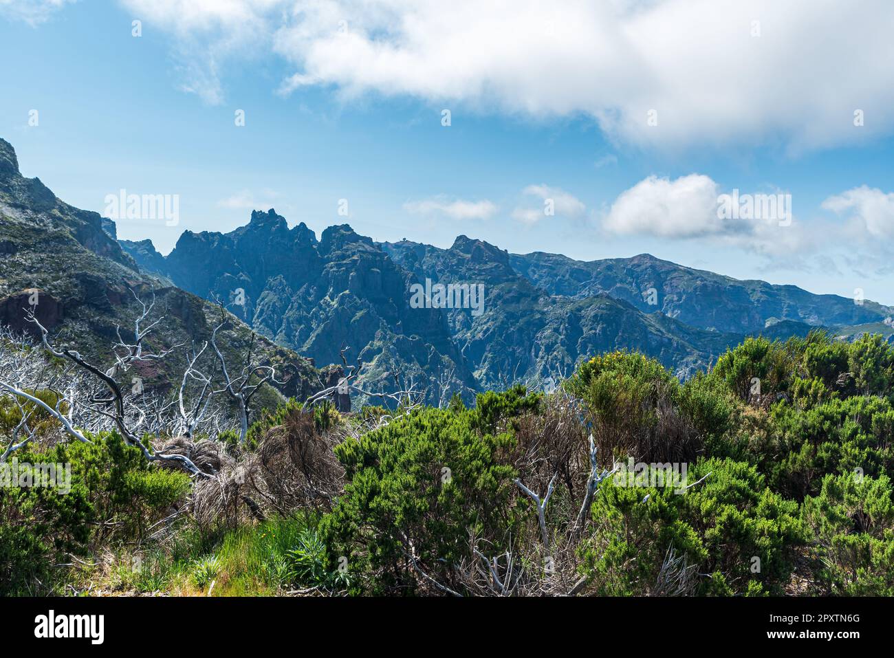 Pico do Areeiro, Pico das Torres and Pico do Cedro rocky hills from ...
