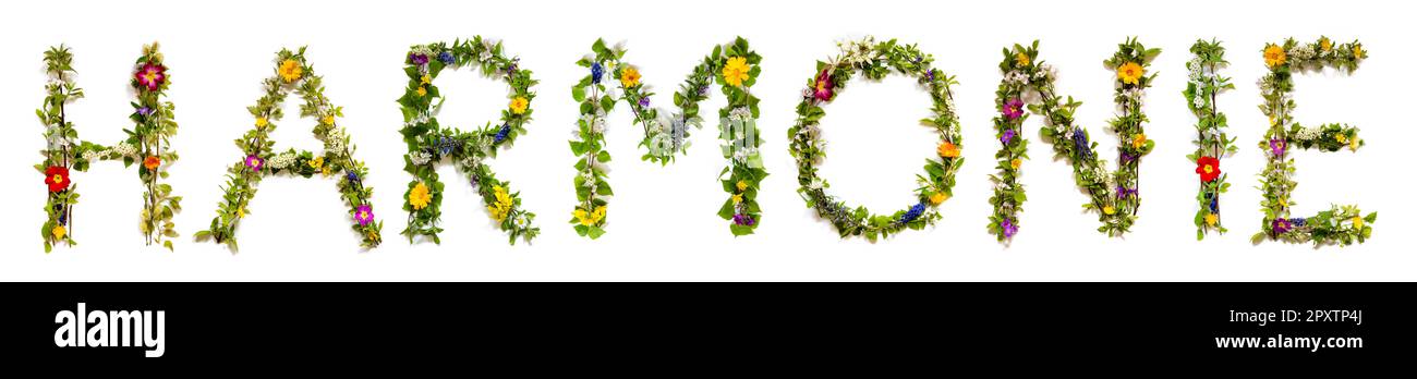 Blooming Flower Letters Building German Word Harmonie Means Harmony ...
