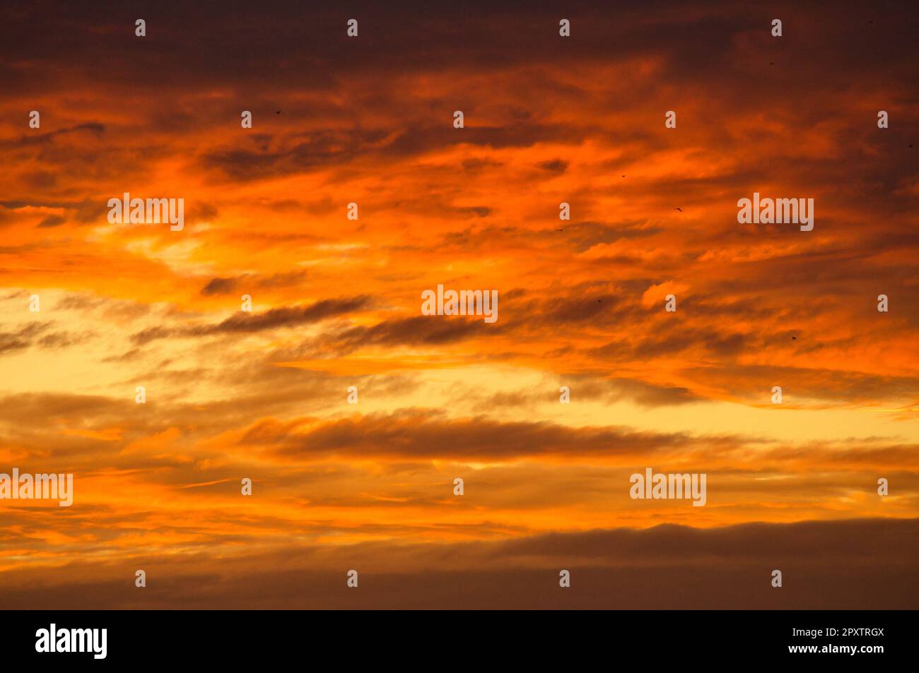 Background image with clouds in extreme colors of a sunset. The sky ...