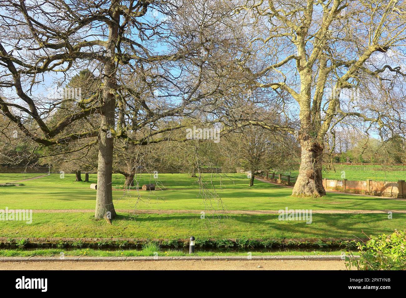 Old bare trees in the Surry countryside overlooking the River ...